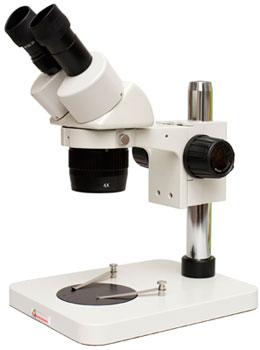 Stereo Dissection Microscope | Wiltronics